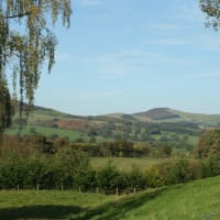 Parcfarm, Mold | Caravan Parks - Yell