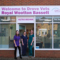 Drove Veterinary Hospital, Swindon | Vets - Yell