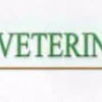 Castle Veterinary Group, Downpatrick | Vets - Yell