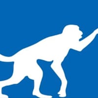 Blue Monkey Trees | Tree Surgeons - Yell