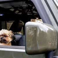 Stoneacre Motor Group, Worksop | New Car Dealers - Yell