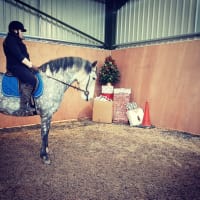 Penycoed Riding Stables & Riding Centre, Oswestry | Riding Schools - Yell