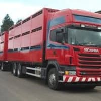 J & P Dunn Ltd, Laurencekirk | Commercial Vehicle Bodywork - Yell