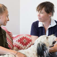 Paws Indoors Mobile Vet, Norwich | Vets - Yell