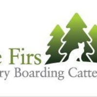 The Firs Cattery, Newark | Catteries - Yell