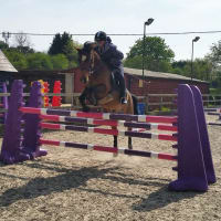 Hartwell Riding Stables Ltd, Aylesbury | Riding Schools - Yell