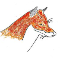 Canny Fox Science & Maths, Gloucester | Tutoring - Yell