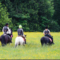 Brookleigh Riding Centre, Richmond | Riding Schools - Yell