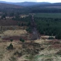 Matthew Boag, Perth | Fencing Contractors - Yell