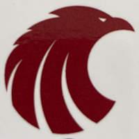 Eagel One Security Ltd, Cardiff | Security Services & Equipment - Yell