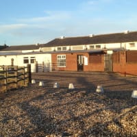 Leconfield Kennels & Cattery, Beverley | Dog Boarding - Yell