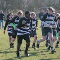 Thurrock Rugby Football Club, Grays | Sports Clubs & Associations - Yell