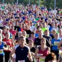 Alba Traffic Management Ltd, Inverness | Traffic Control & Management ...