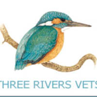Three Rivers Vets, Norwich | Vets - Yell