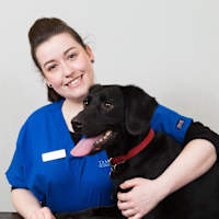 Tameside Veterinary Clinic, Hyde | Vets - Yell