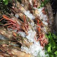 The Fish Shop, Camberley | Fishmongers - Yell