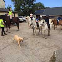 Goonbell Riding Centre, St. Agnes | Riding Schools - Yell