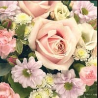 Bodsworth Flowers, Manningtree | Florists - Yell