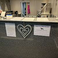 Chelle's Pawfect Grooms, Bathgate | Pet Services - Yell