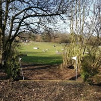 Square View Liveries, Epsom | Stables - Yell