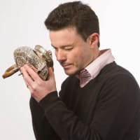 Edward Reis Silverware, Newbury | Antique Dealers - Yell