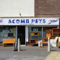 Acomb Pets, York | Pet Shops - Yell