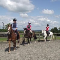 Pevlings Farm Riding & Livery Stables, Templecombe | Riding Schools - Yell