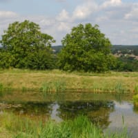 Grange Farm Centre, Chigwell | Community Centres - Yell