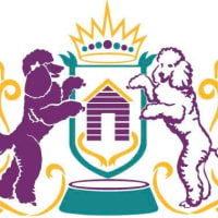 Pucci Pets, Bridgend | Dog & Cat Grooming - Yell