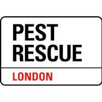 Pest Rescue, Uxbridge | Pest & Vermin Control Services - Yell