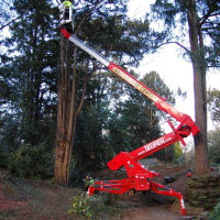 Wilby Tree Surgeons Ltd, Northampton | Tree Surgeons - Yell