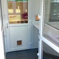Elm Cattery, Wisbech | Catteries - Yell