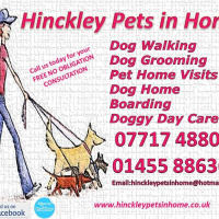 Hinckley Pets in Home, Leicester | Pet Services - Yell