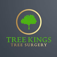 Tree Kings Tree surgery, Hemel Hempstead | Tree Surgeons - Yell