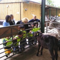 Reddish Vale Farm, Stockport | Farmers - Yell