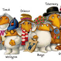 Wombles House Clearances, Ferryhill | House Clearance - Yell