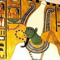 Osiris Trading UK Ltd, Cottingham | Catalogue & Mail Order Shopping - Yell