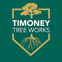 Timoney Tree Works | Tree Surgeons - Yell