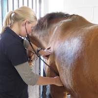 The George Veterinary Group, Malmesbury | Vets - Yell