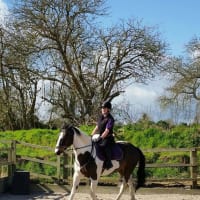 Hartwell Riding Stables Ltd, Aylesbury | Riding Schools - Yell