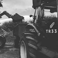 Tr33 Ltd | Tree Surgeons - Yell