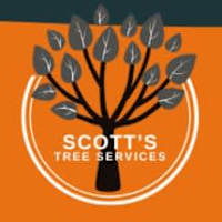 Scott's Tree Services, Ballymoney | Tree Surgeons - Yell
