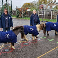 Pixie and Pickles Therapy Ponies, Hitchin | Complementary Therapies - Yell