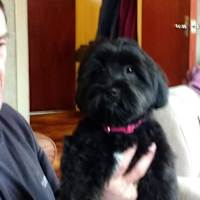 Tay Valley Veterinary & Equine Centre, Perth | Vets - Yell