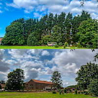 Yorkshire Tree Surgery, Hull | Tree Surgeons - Yell