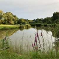 Tern Fisheries Ltd, Market Drayton | Fish Farms - Yell