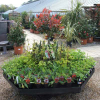 Notcutts Garden Centre, Cranleigh | Garden Centres - Yell