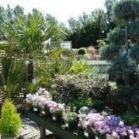Greenbrook Garden Centre, Chelmsford | Garden Centres - Yell