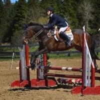 Longmead Riding Centre, Colchester | Riding Schools - Yell