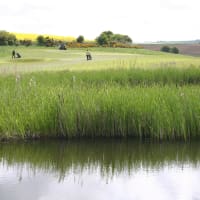 Staining Lodge Golf Course, Blackpool | Golf Courses - Yell